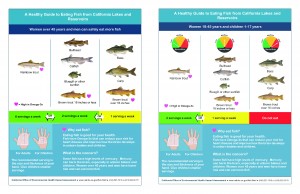 Fish Consumption Advisory » Lake Jennings