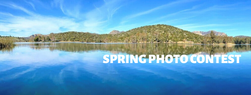 SPRING PHOTO CONTEST | Lake Jennings